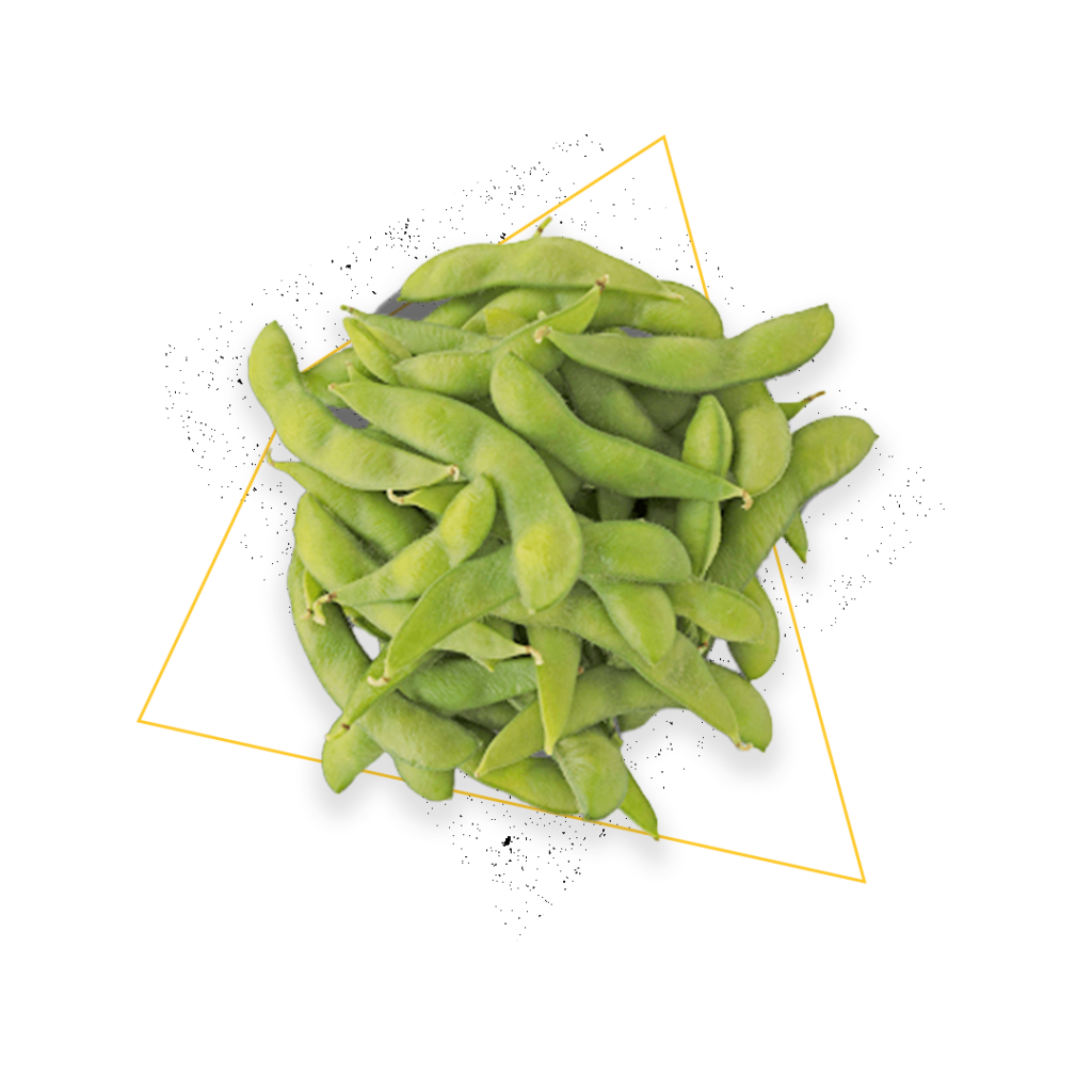 FOOD - Soonta
